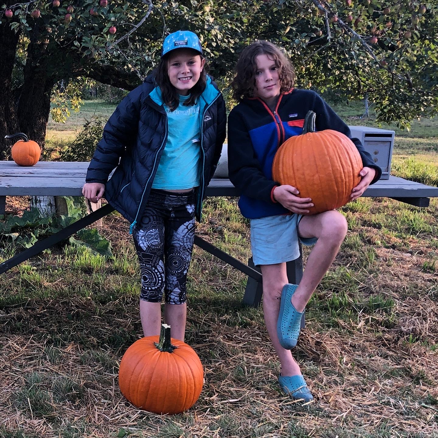 About the Farm – Daisychain Farm